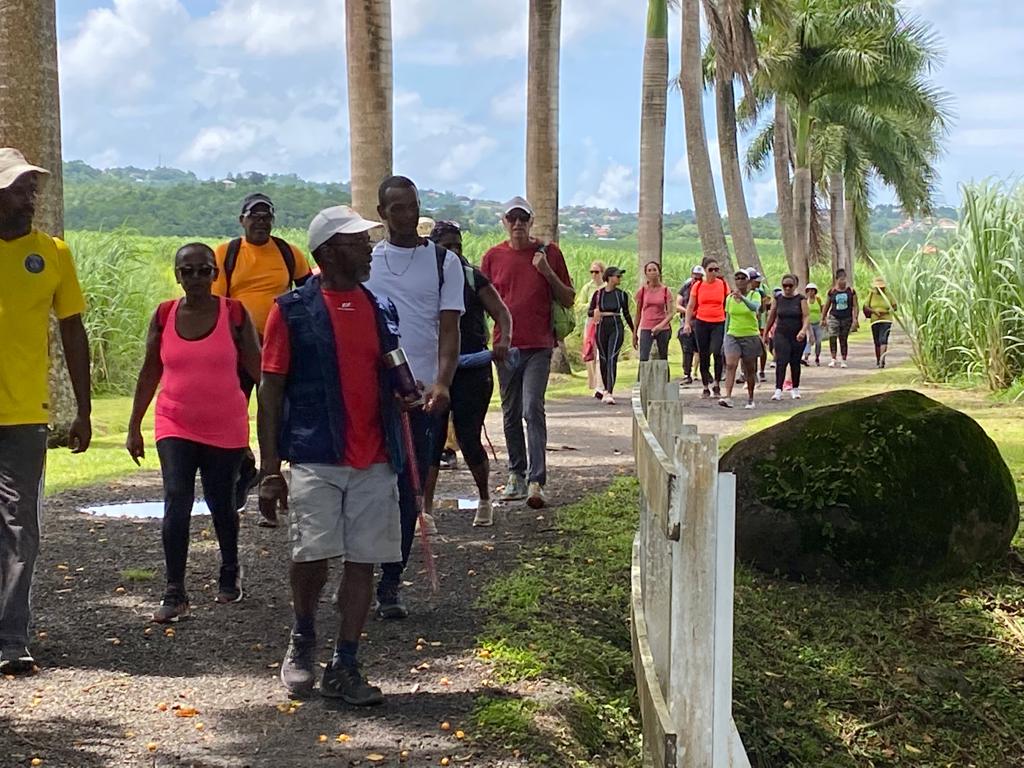RANDO MARTINIQUE-ÉCOLOGIE : SUR LES TRACES PERDUES DE LA RUE CASES ...