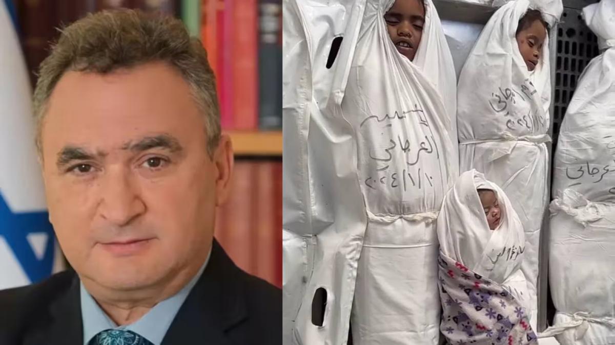Laurent Zarka, ambassadeur d'Israël en France (sur LCI) : "On ne peut ...